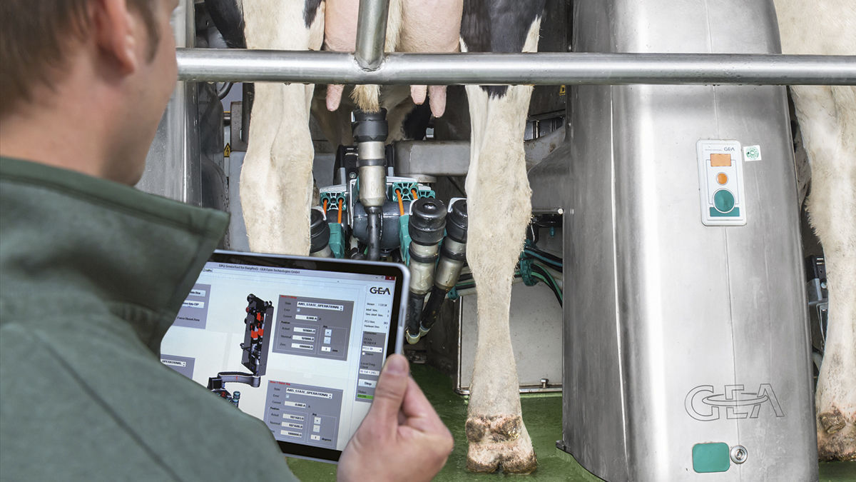 Cow milking parlour - DairyProQ - GEA - rotary / rapid exit