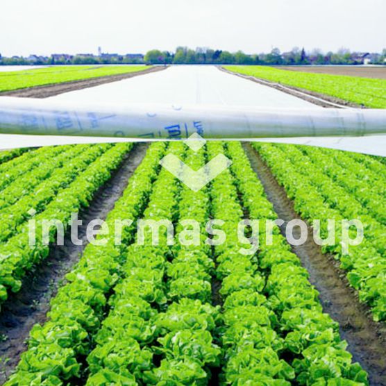 Greenhouse protective cover - PROTECTERM Series - INTERMAS - UV protection