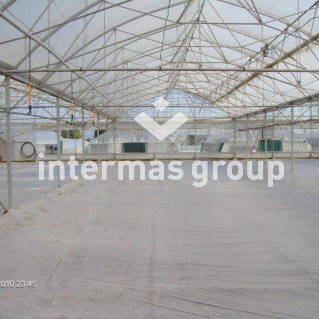 Greenhouse film - INTERMAS