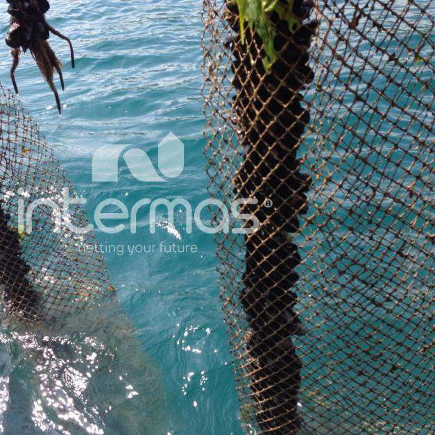 HDPE oyster mesh - 2000460,2009938,2006301,2009939 - INTERMAS - anti ...