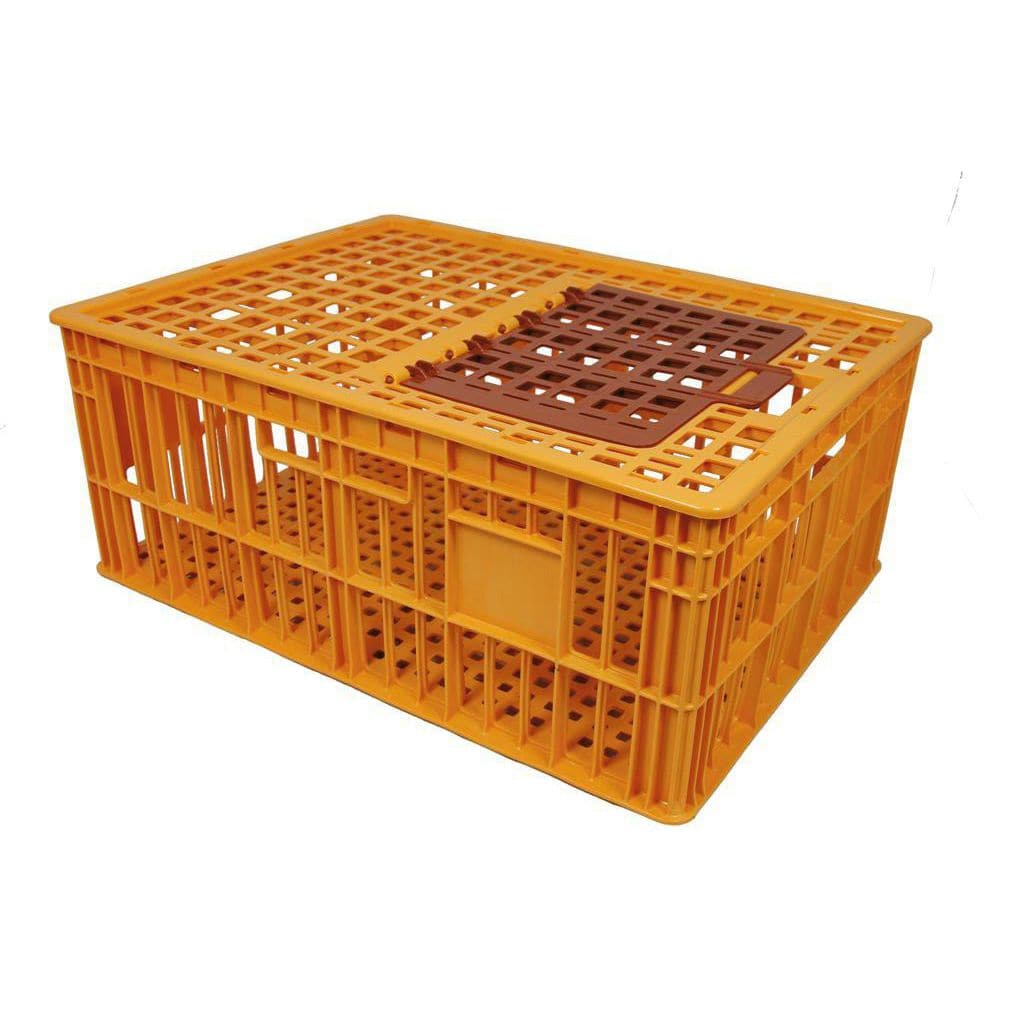Chicken transport cage - CVC320800-OR - GAMMA WOPLA - plastic