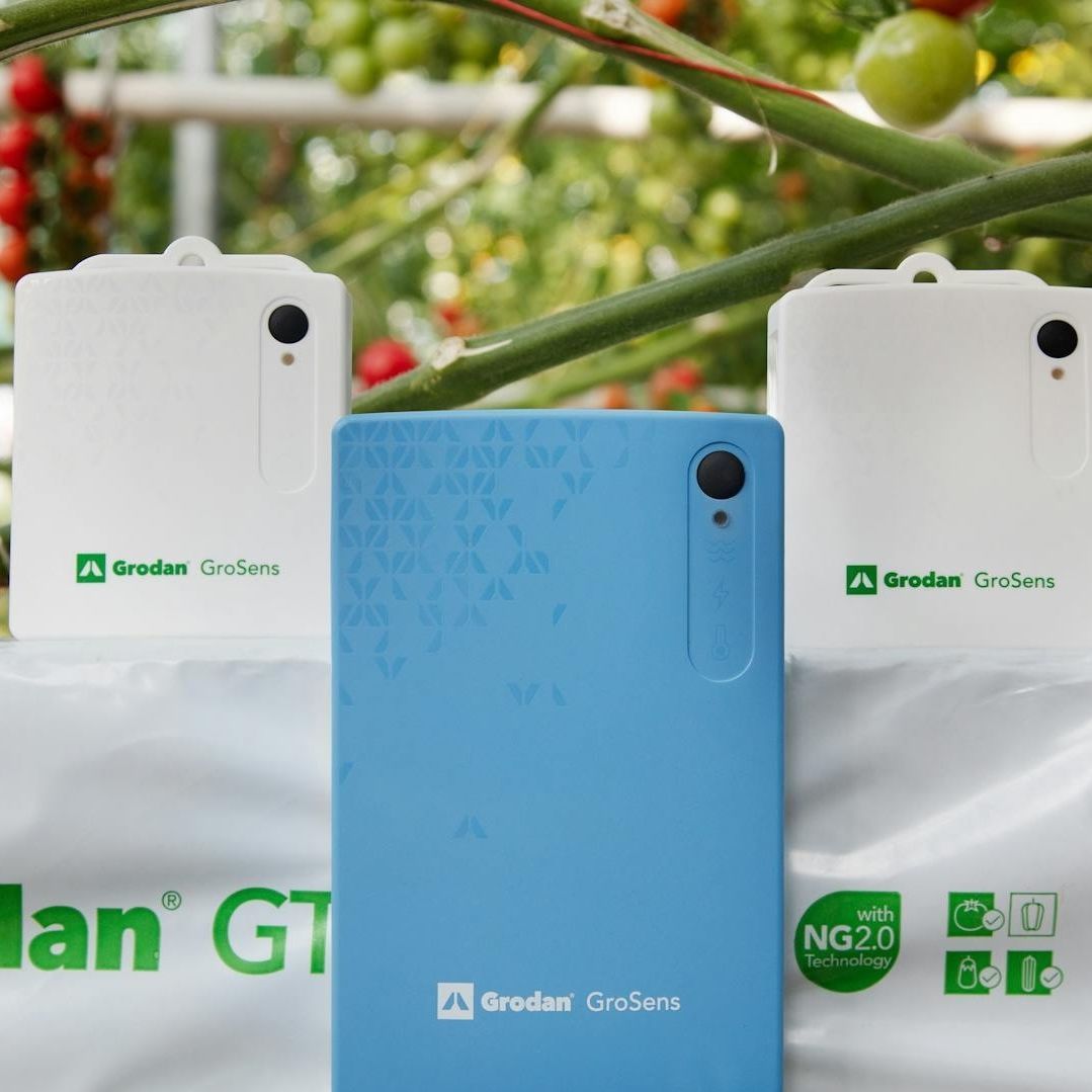 Rootzone temperature sensor - GroSens 2.2 - GRODAN - electronic ...