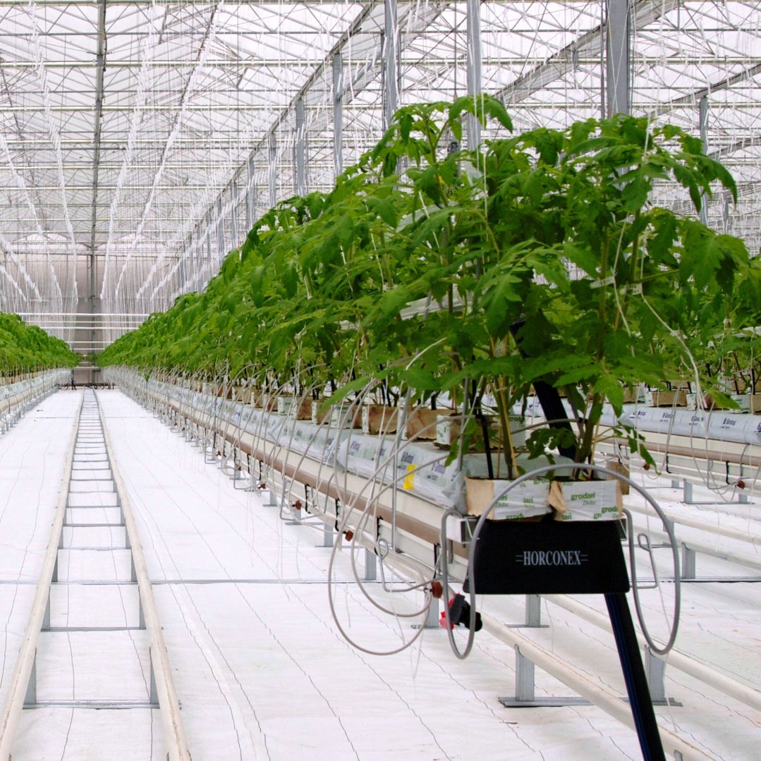 Steel crop gutter - HORCONEX - hanging