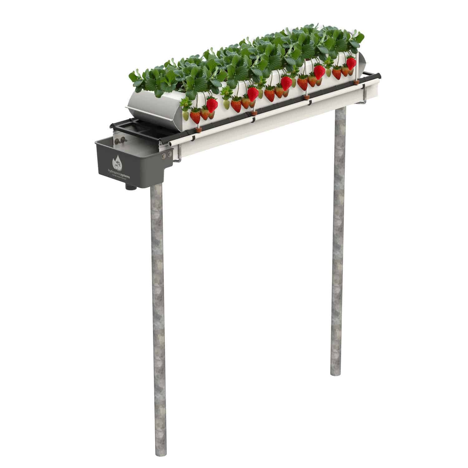 Steel irrigation gutter - HS Evolution Strawberry - HYDROPONIC SYSTEMS ...