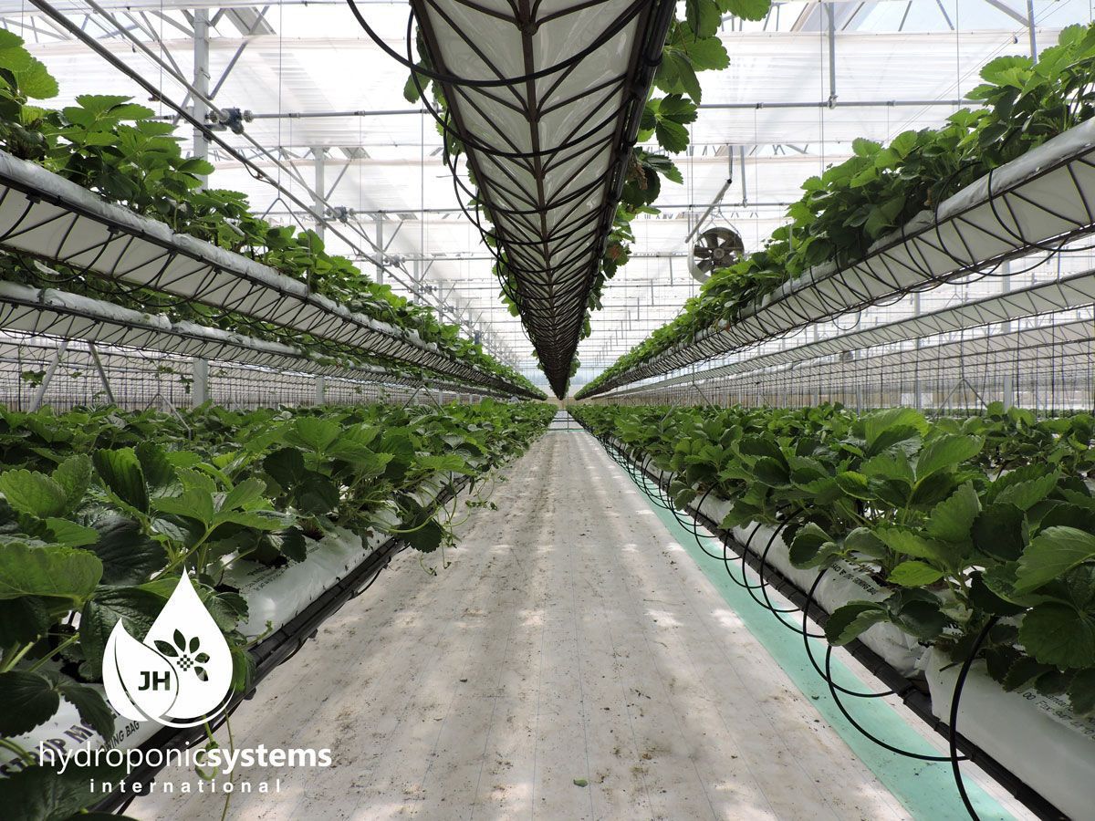 V-shaped irrigation gutter - HS Mobile Systems - HYDROPONIC SYSTEMS ...