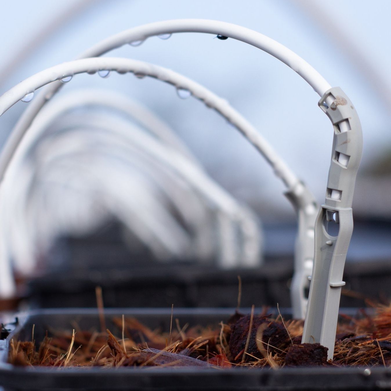 Hydroponic crop drip irrigation system - HYDROPONIC SYSTEMS INTERNATIONAL