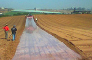 Soil disinfection sheeting - HYPLAST NV - LDPE