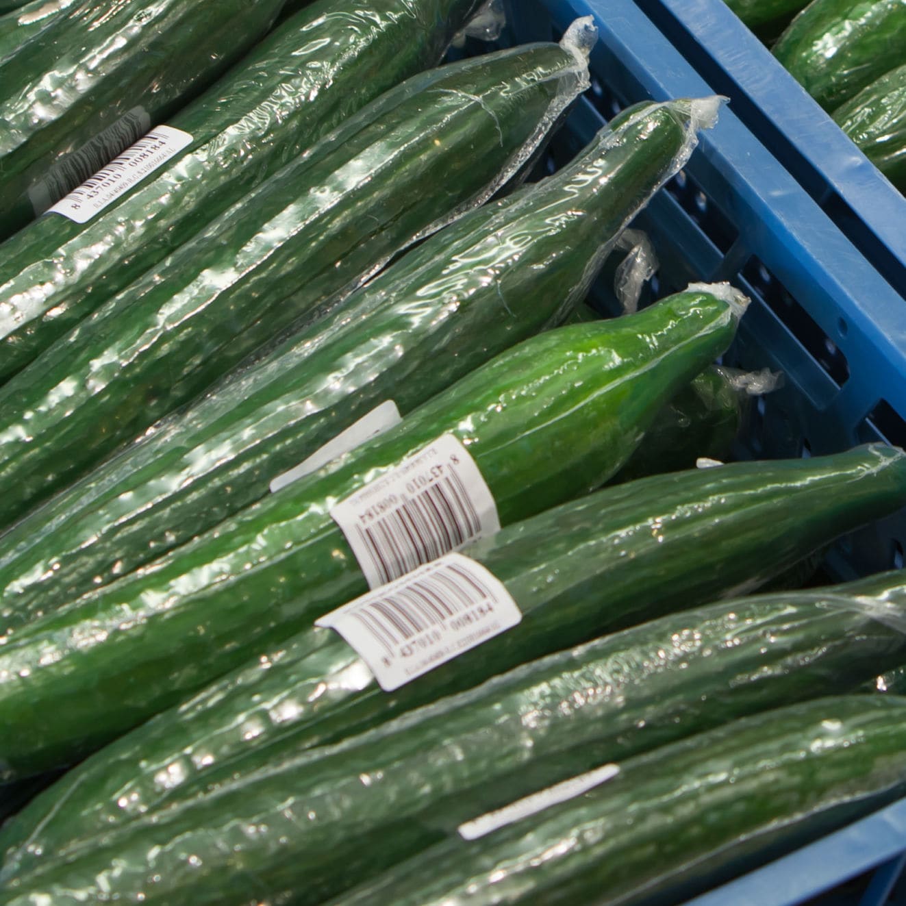 Food packaging sheeting - OERLEMANS PLASTICS BV - transparent / perforated