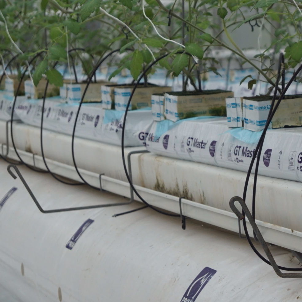 Root inspection sheet - OERLEMANS PLASTICS BV