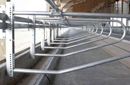 Adjustable-width cow cubicle - J&D Manufacturing