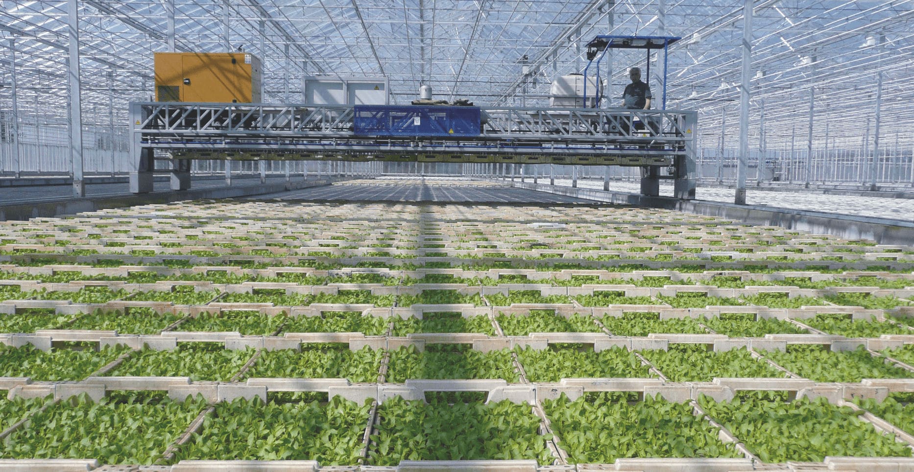 Automatic horticultural handling system - XY - Visser Horti Systems ...
