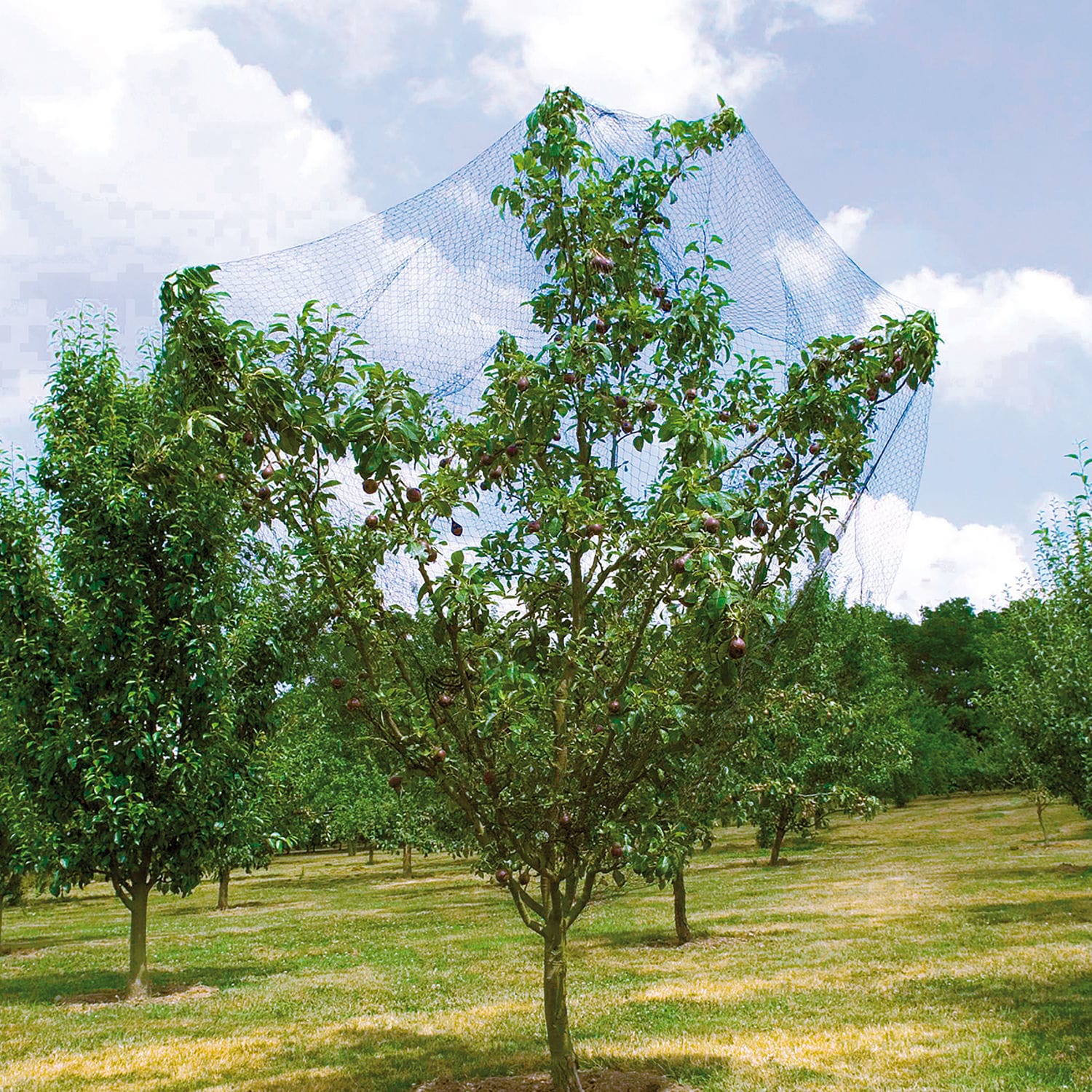 Anti-bird netting - Vilmorin Jardin (Vilmorin Garden/ VDB) - protective ...