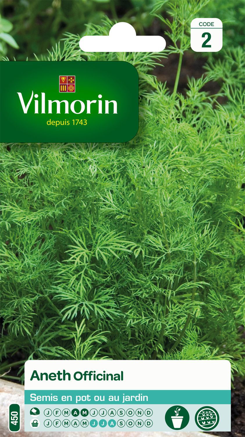 Annual floral plant - Aneth Officinal - Vilmorin Jardin (Vilmorin ...