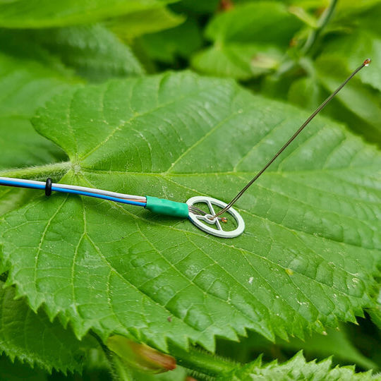 Leaf temperature sensor - LAT-B3 - Pinova ltd. - air