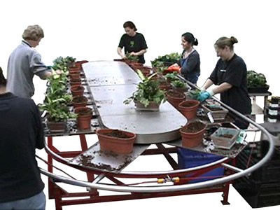 Tray transplanting machine - Euro - AgriNomix LLC - automatic / manual