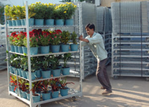 Greenhouse transport cart - HS Series - AgriNomix LLC - shelf / metal