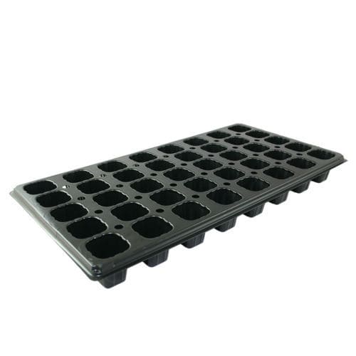 Polystyrene plug tray - 40H - Ainong USA Corporation - reusable / square