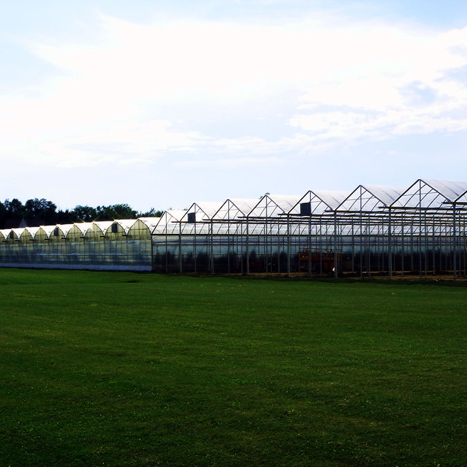Multi span greenhouse - Herculon - Paul Boers Ltd - ornamentals ...