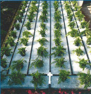 Capillary drip irrigation system - Capmat II Capollary Matting ...