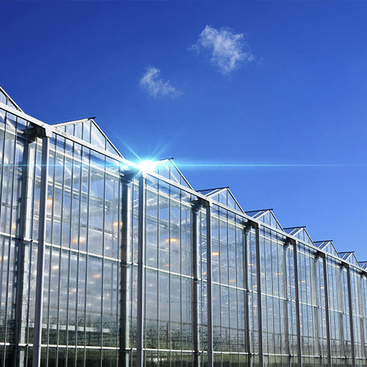 Venlo greenhouse - Rough Brothers Inc - ornamentals production ...