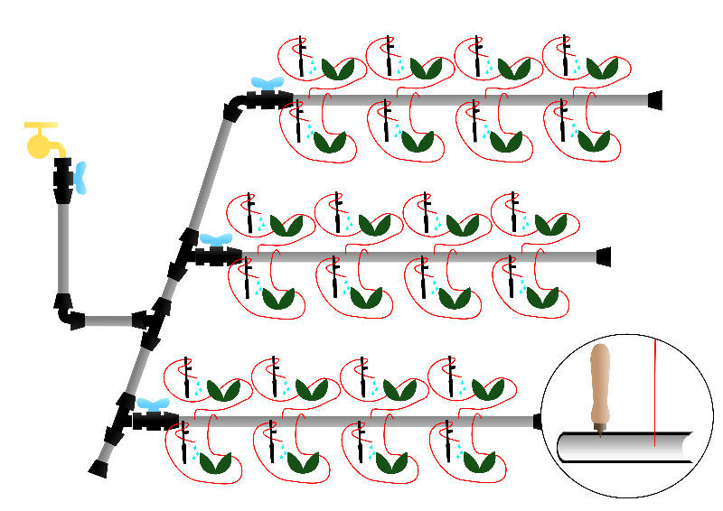 Capillary drip irrigation kit - INDUSTRIE BONI Srl