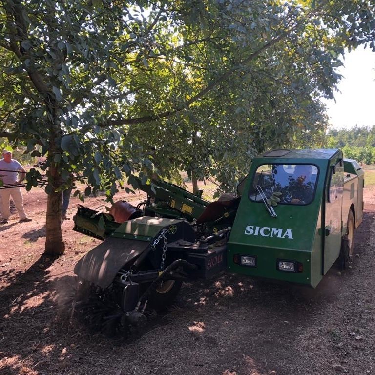 Nuts tree shaker - N3 - SICMA srl - self-propelled / mechanical