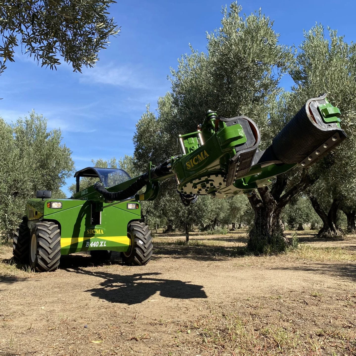 Fruit trunk shaker - B440 XL - SICMA srl - olive / self-propelled ...