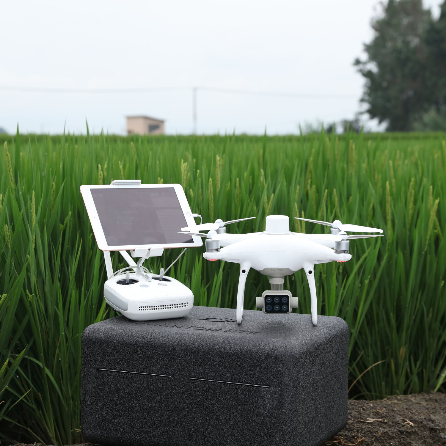 Rotary wing agricultural drone - DJI PHANTOM 4 MULTISPECTRAL - Aermatica3D srl (AERMATICA3D ...