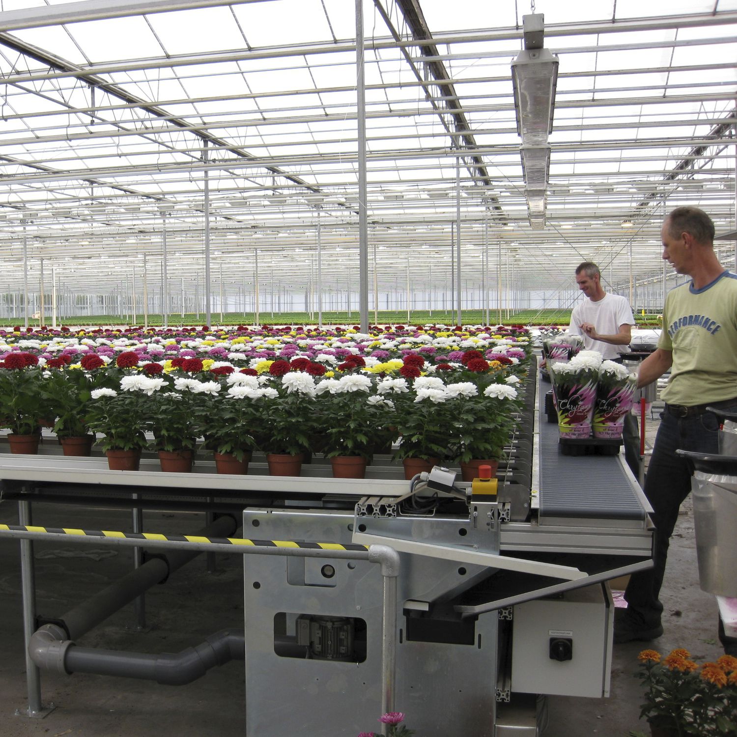 Automatic horticultural handling system - WPS - for pots