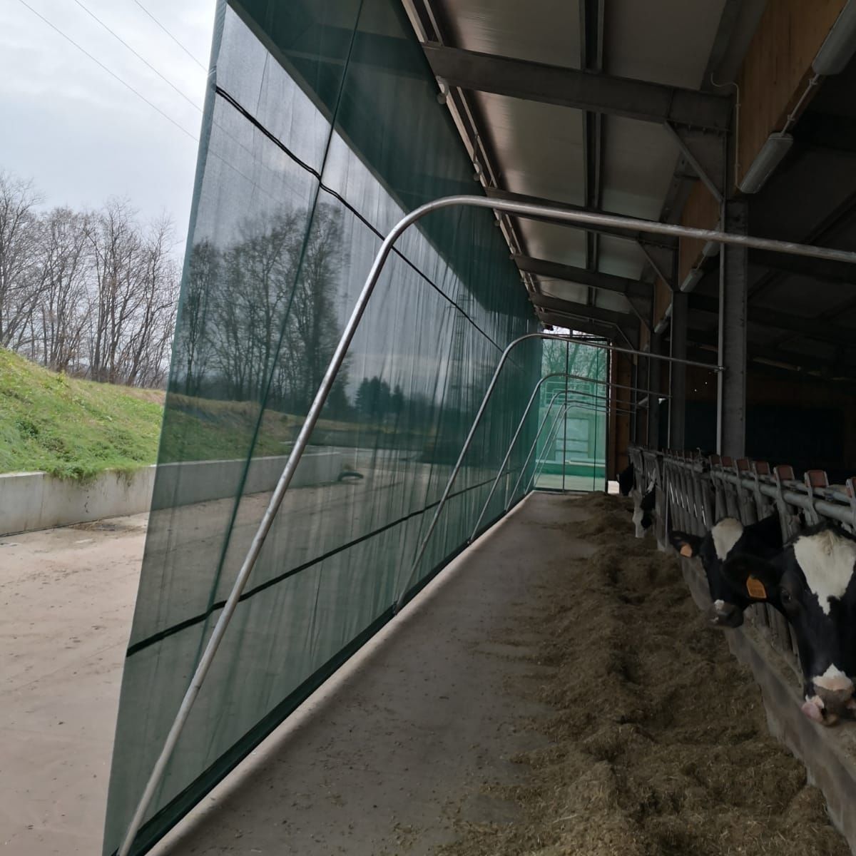 Windbreak barrier - FRB A - Tecnoindustriale - for livestock farming