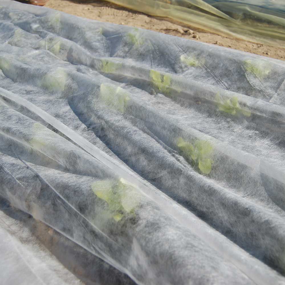 Protective netting - ORTOCLIMA - Tenax - plastic / non-woven