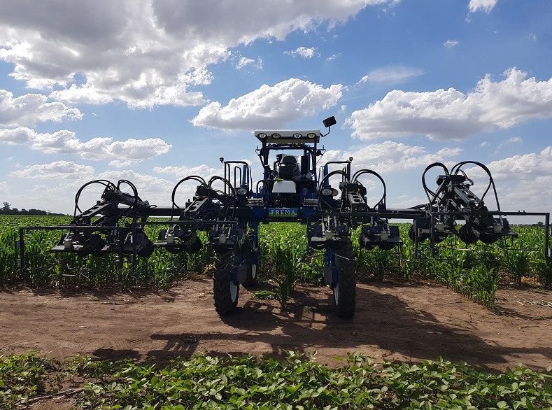 Self-propelled detasseler - CONDOR 130 - Frema - straddle / 6-rows / 8-row