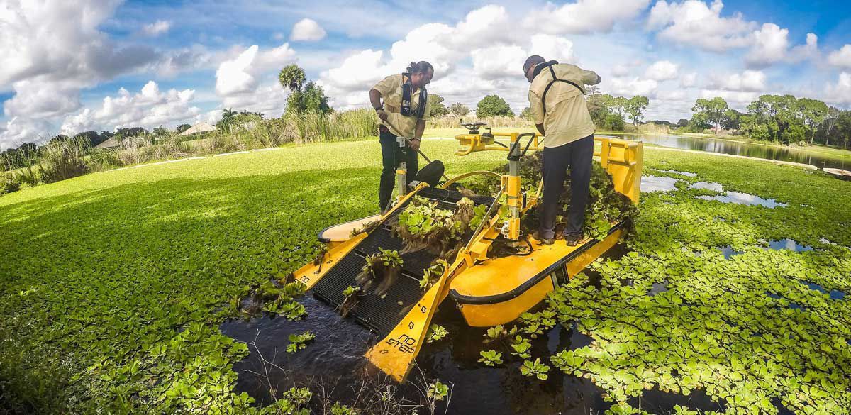 Aquatic weed harvester / boat - AquaHarvester™ - Weedoo - Videos