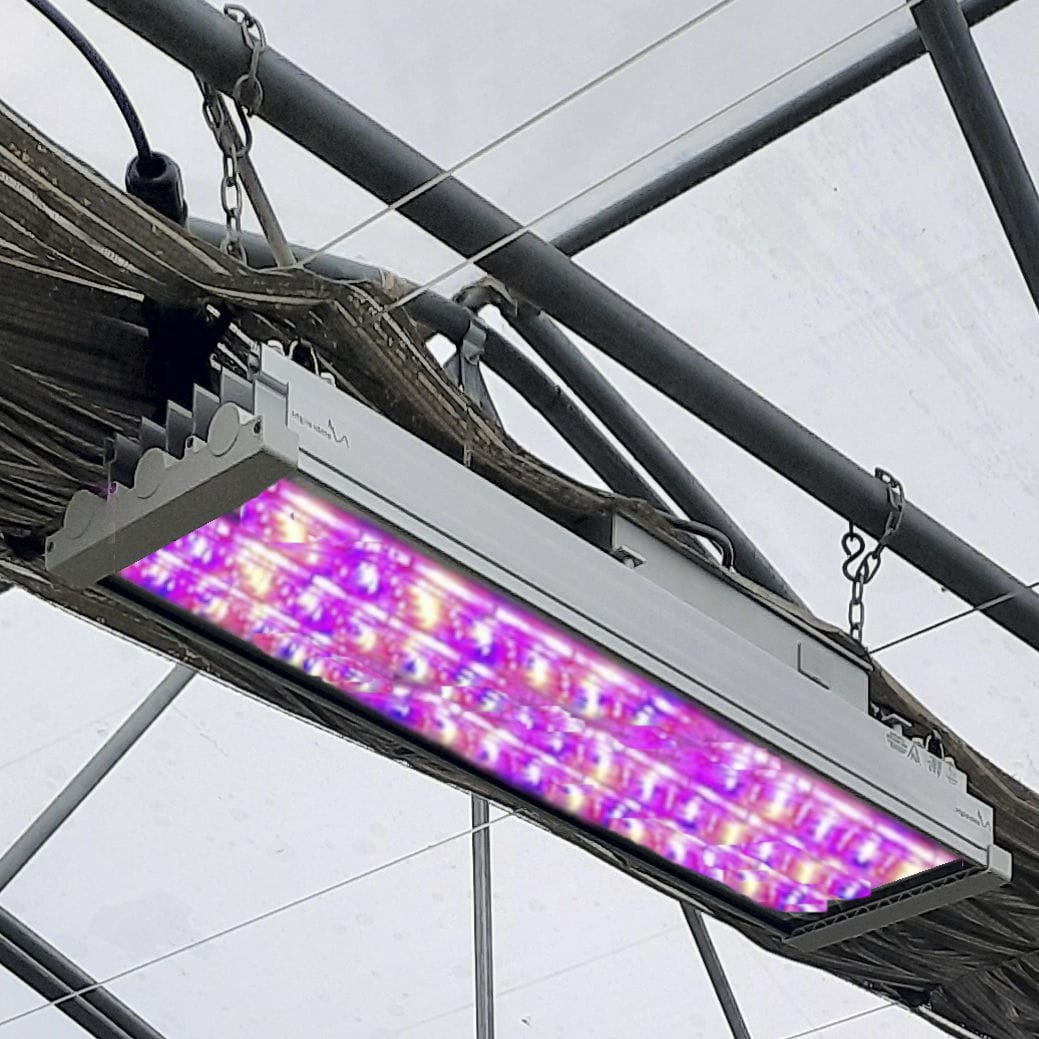 Greenhouse light - ELETTRA - Ambralight - LED / red / blue