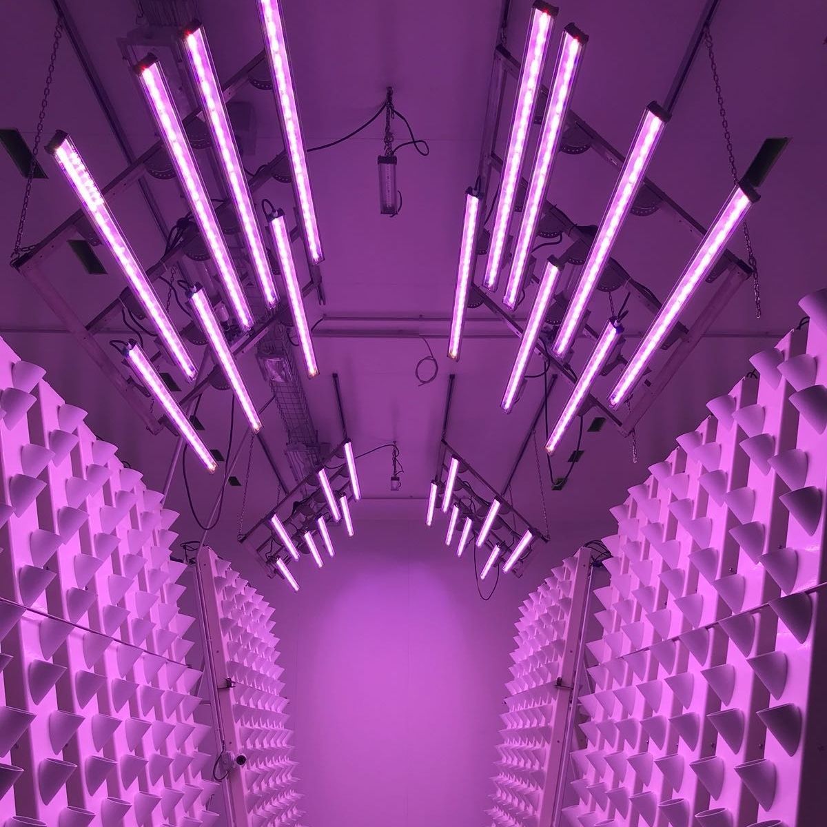 Grow light - AE100 - Ambralight - LED / interior