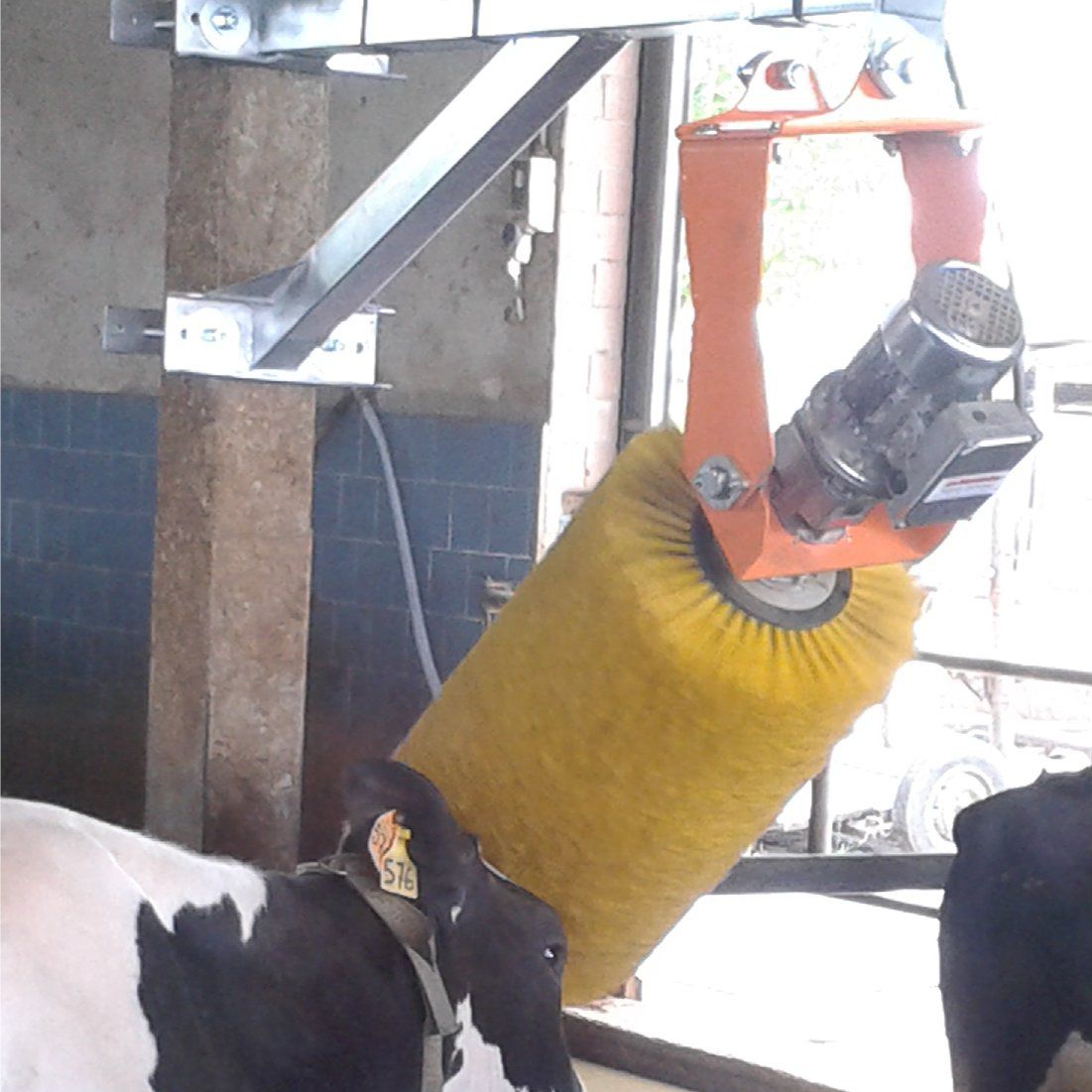 Livestock comfort brush - LA MECCANICA SNC - rotating / cows / vertical