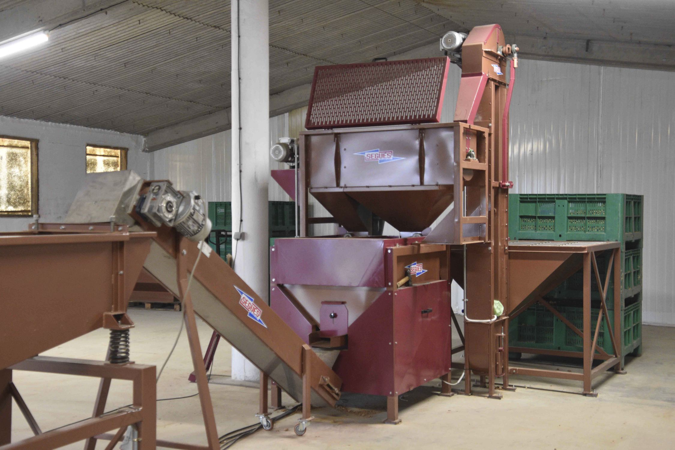 Walnut shelling machine - Serie STR - MAQUINARIA AGRICOLA SEGUES, SL ...