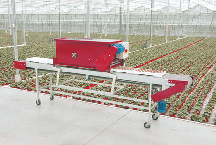 Automatic tray filler - TVS - HETO B.V.