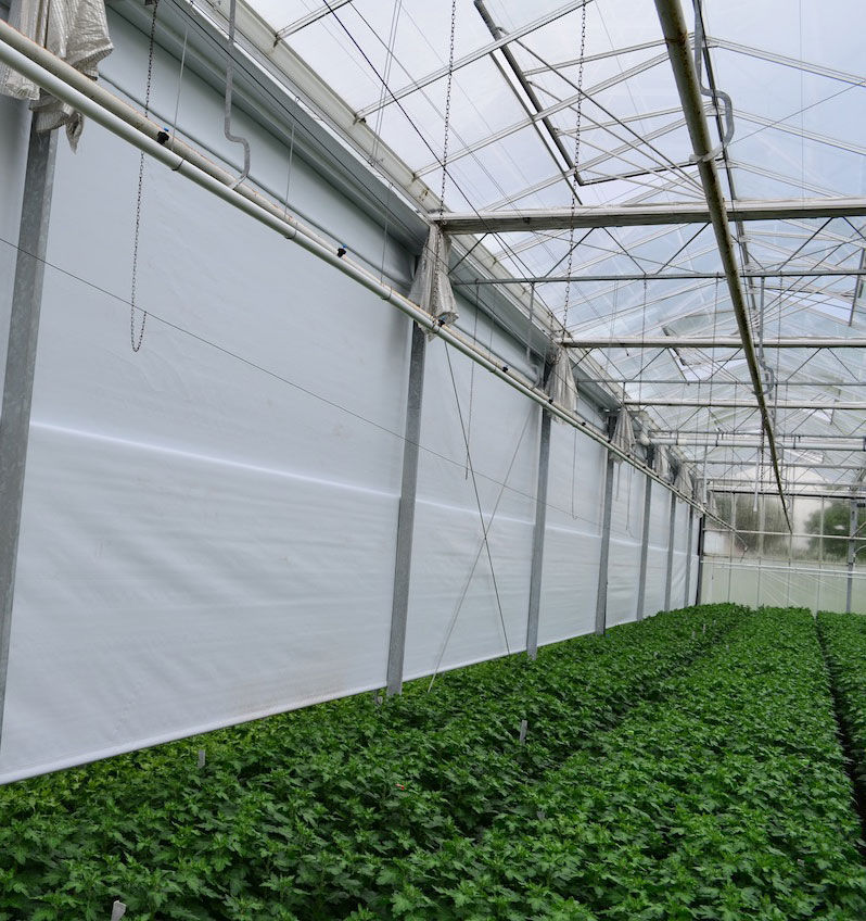 Energy screen system - Huisman Scherming - for greenhouses / roller ...