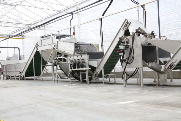 Automatic horticultural handling system - Koppert Machines
