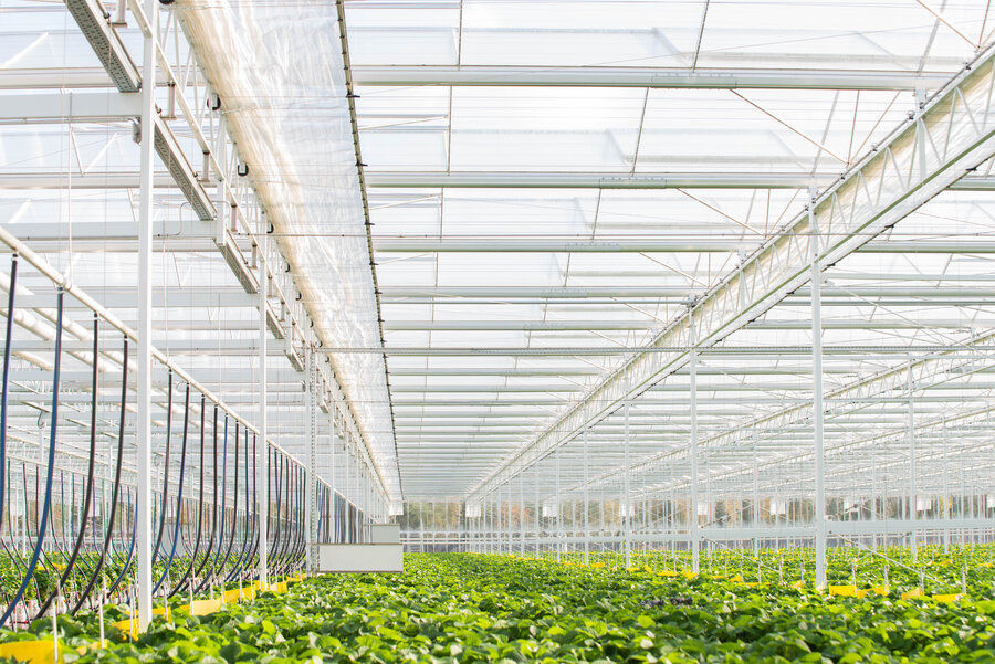 Energy screen system - Alweco Scherminstallaties B.V. - shade / for ...