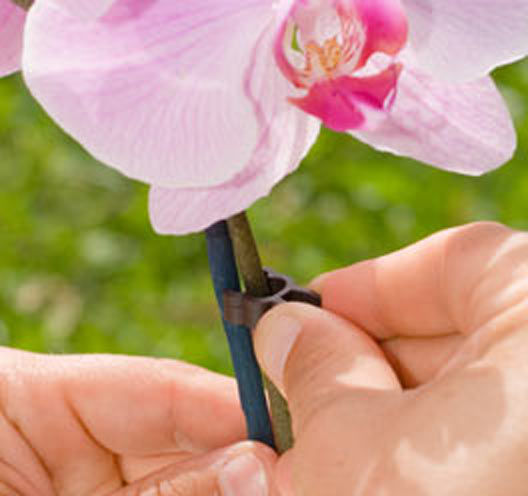 Plastic plant support clip - 300500 series - Simonetti Adamo S.R.L ...