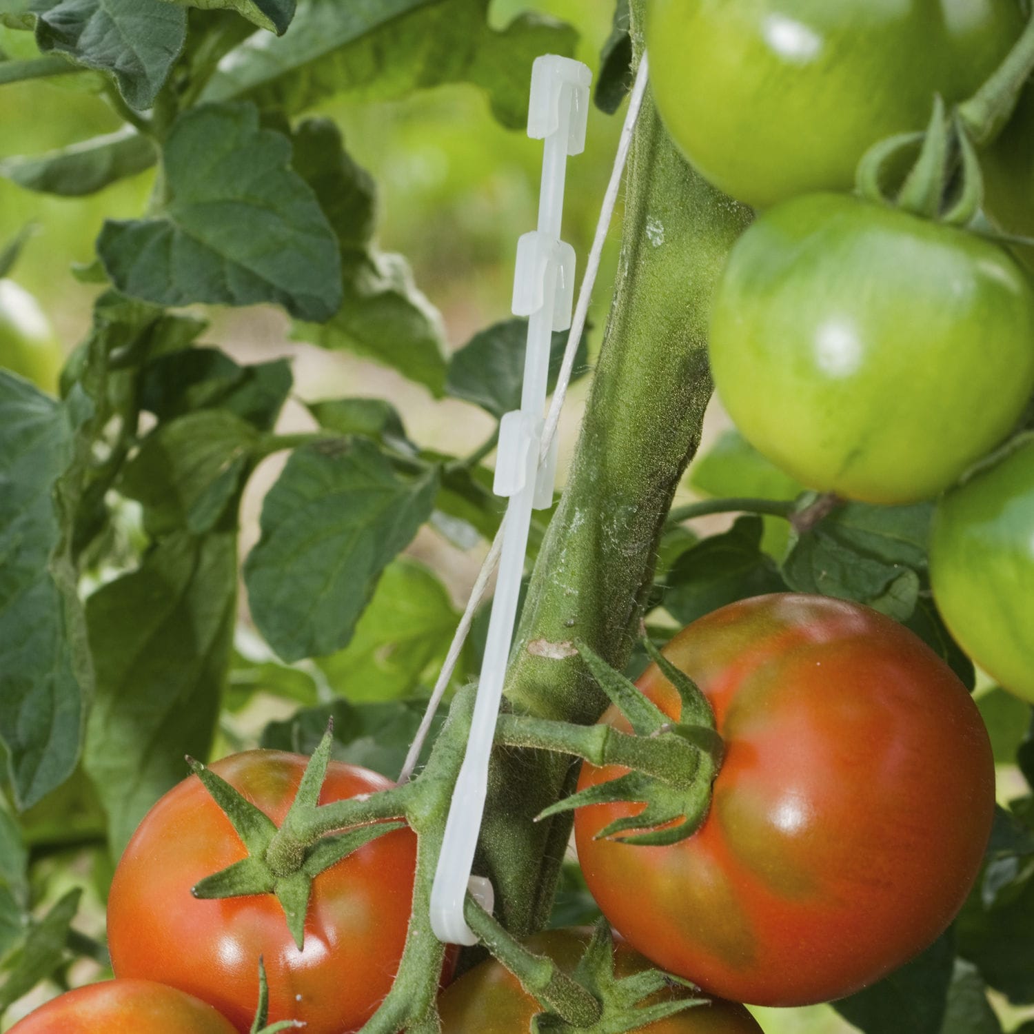 J-shaped hook - Simonetti Adamo S.R.L. - plastic