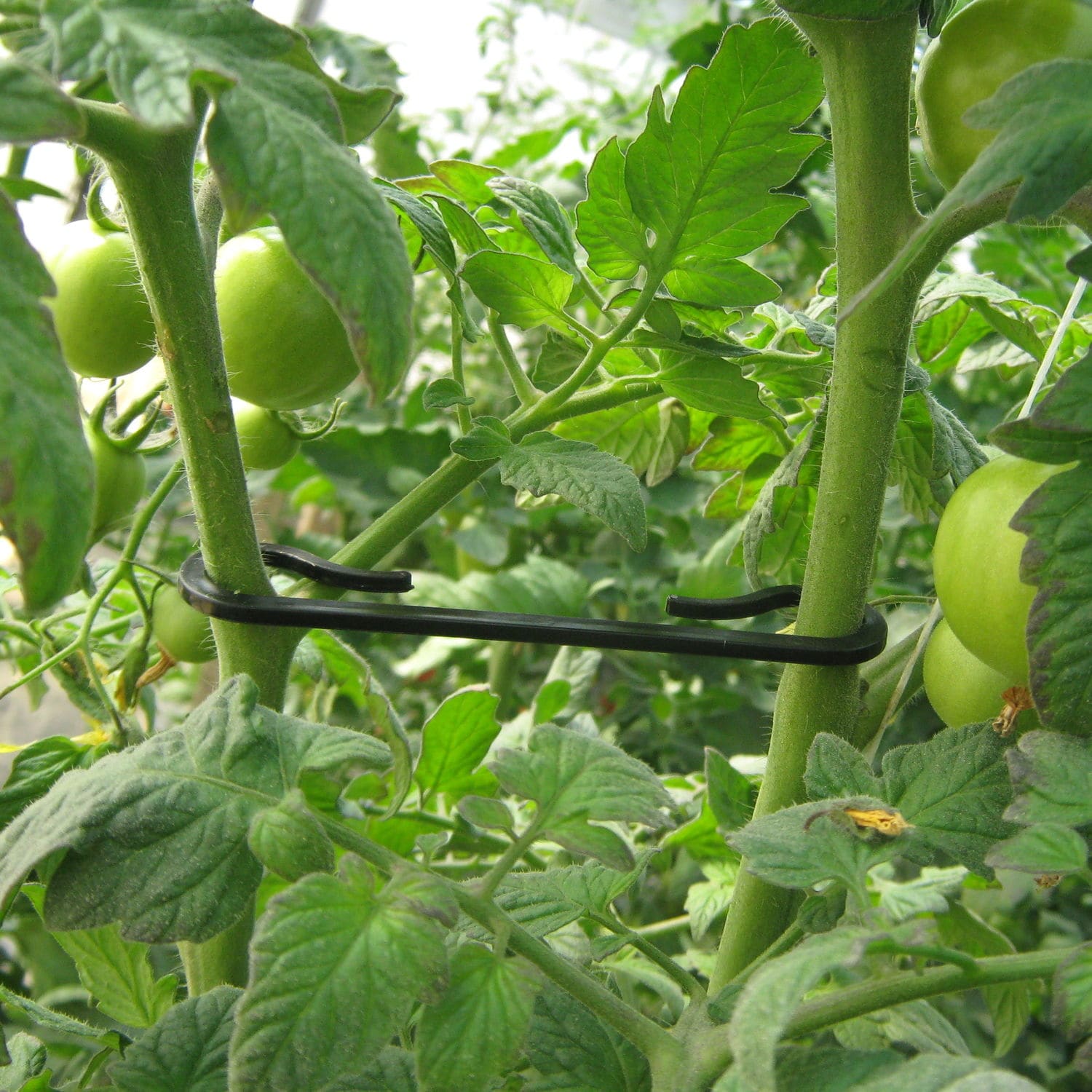 Plastic hook - Simonetti Adamo S.R.L.