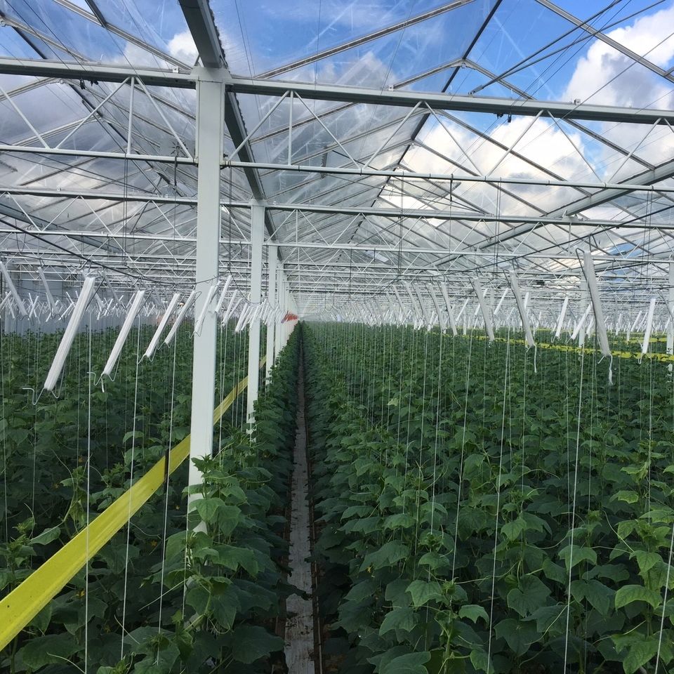 Metal hook - Simonetti Adamo S.R.L. - plastic