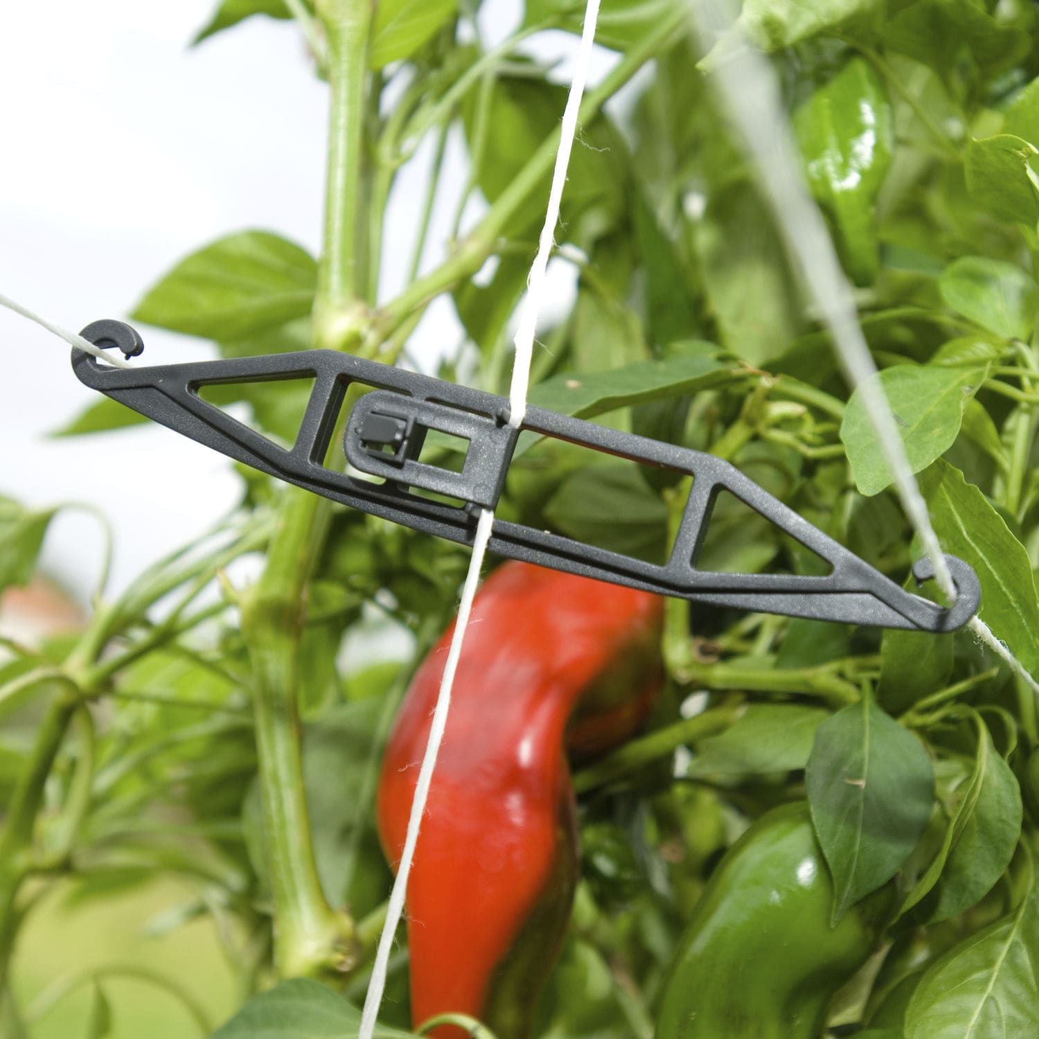 Plastic plant support clip - 300120NE - Simonetti Adamo S.R.L. - with ...