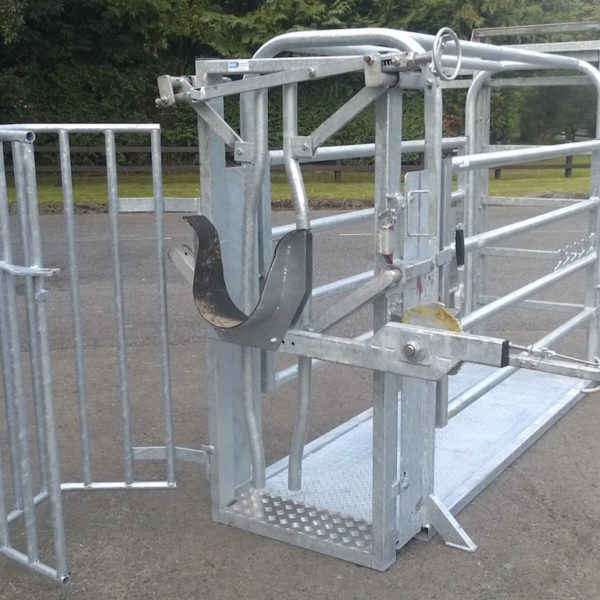 Cows squeeze chute - O'Donnell Engineering