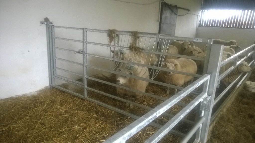 Livestock dividing panel - Sheep Division Gates / Panels - O'Donnell ...