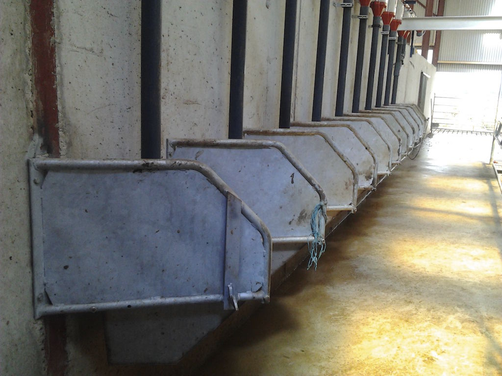 Cattle trough - O'Donnell Engineering - for goats / steel / wall-mounted