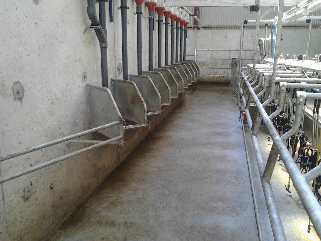 Cattle trough - Milking Parlor Manger Feed Troughs - O'Donnell ...